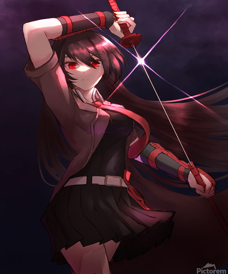 Akame Ga Kill by LisaNHertzog Wall Art