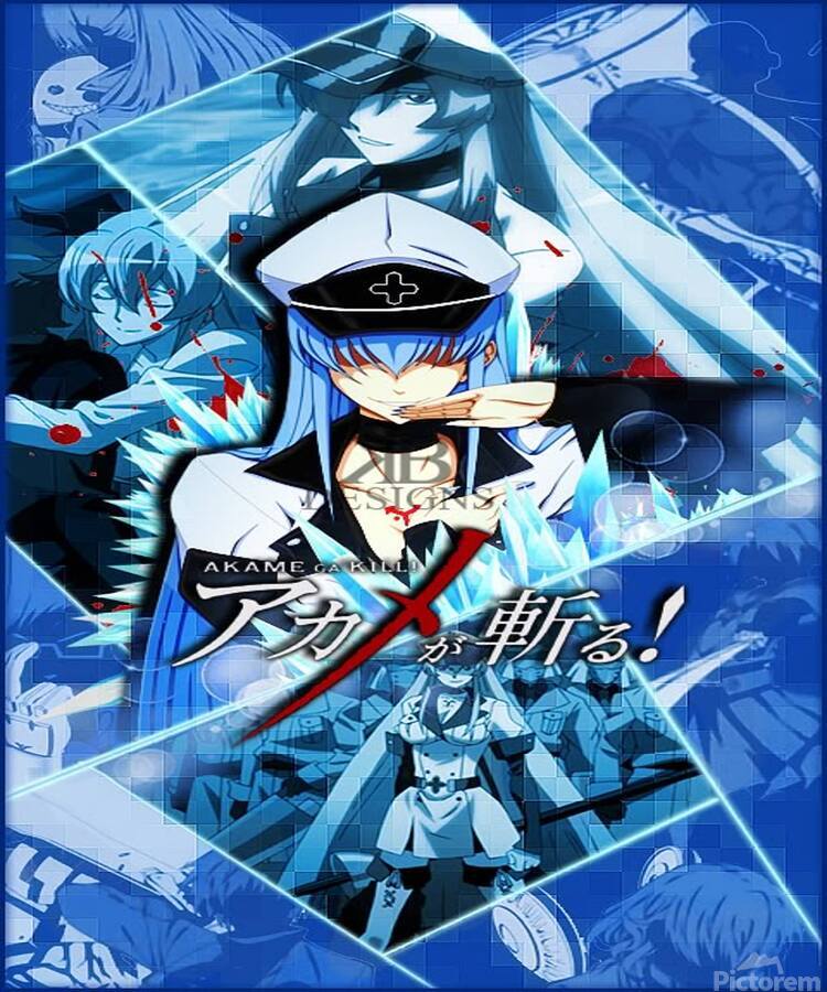 Akame Ga Kill by LisaNHertzog Wall Art