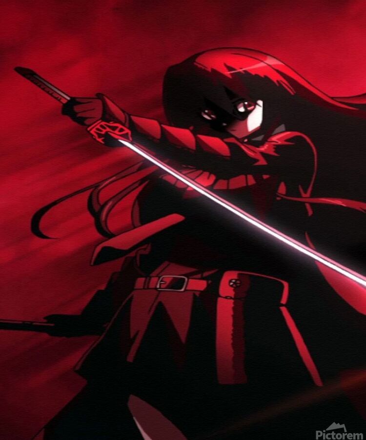Akame Ga Kill by LisaNHertzog Wall Art