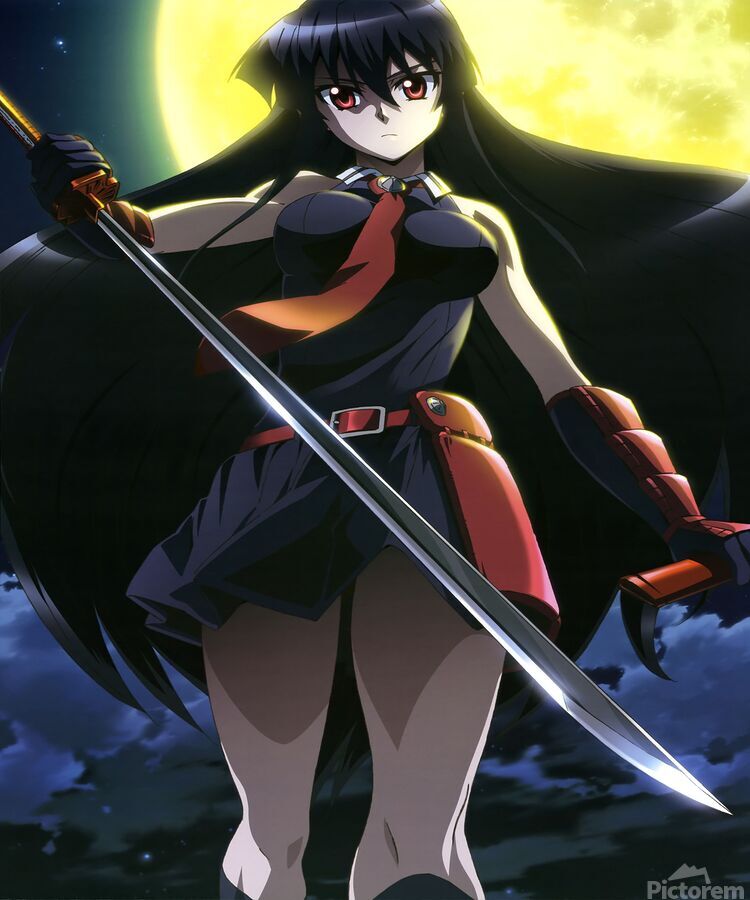 Akame Ga Kill by LisaNHertzog Wall Art