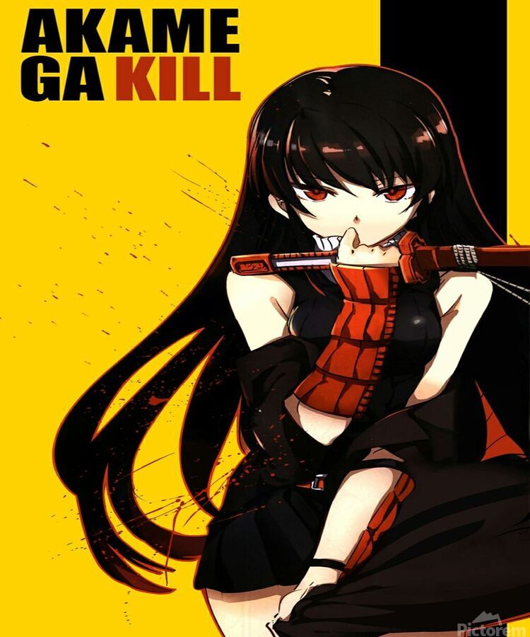 Akame Ga Kill by LisaNHertzog Wall Art