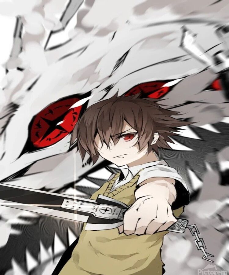 Akame Ga Kill by LisaNHertzog Wall Art