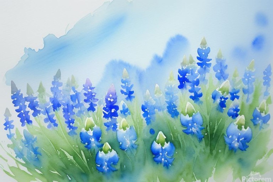Watercolor Drawing of Bluebonnets by Dan Santay Wall Art