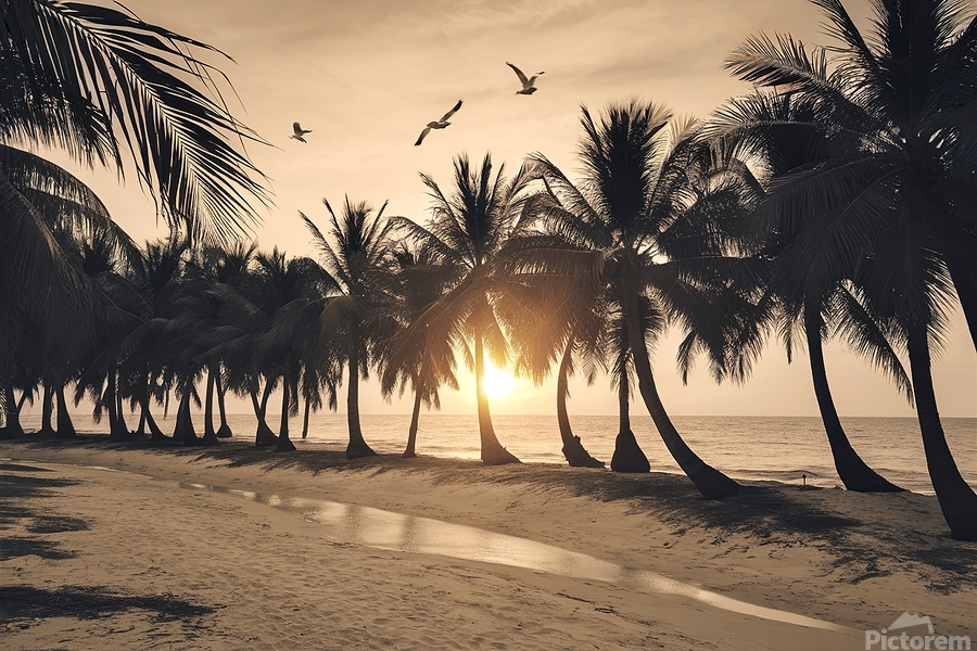 Silhouette coconut palm trees on beach at sunset by Fieraru Elena Wall Art