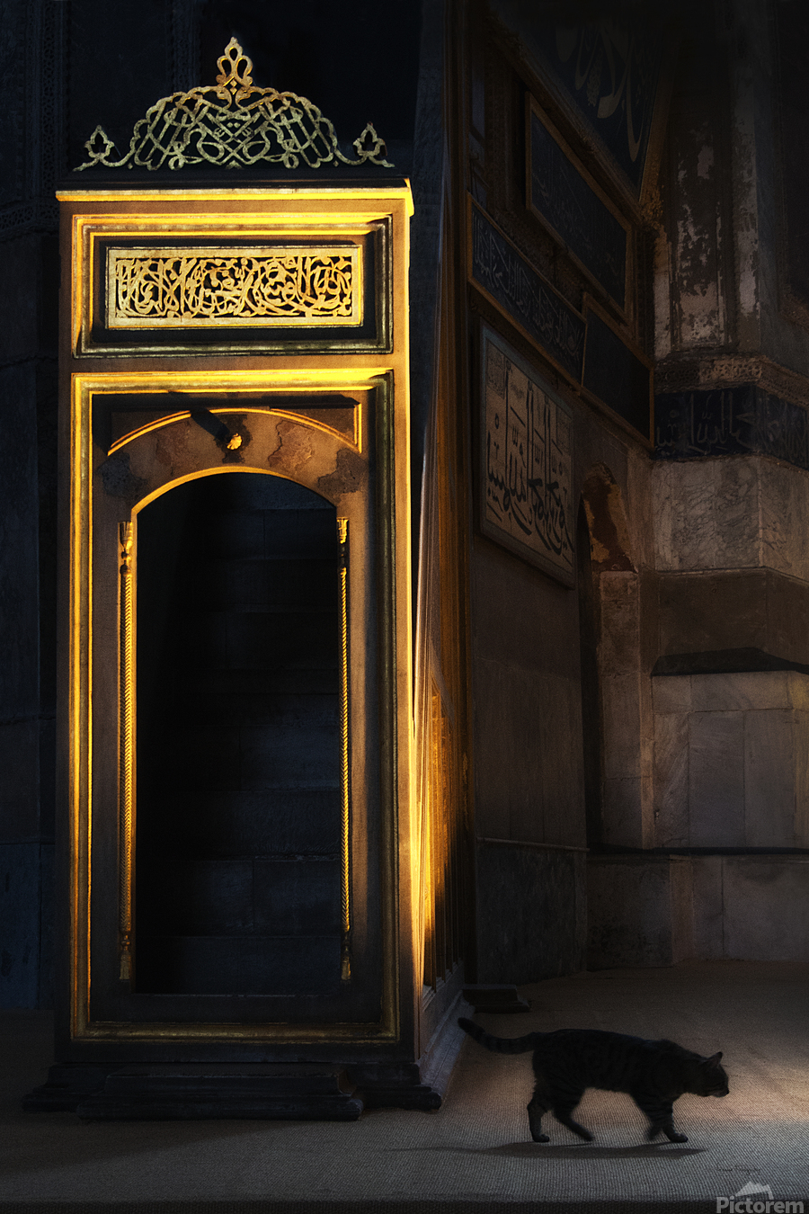 Chat noir | Black Cat by Louise Tanguay Wall Art