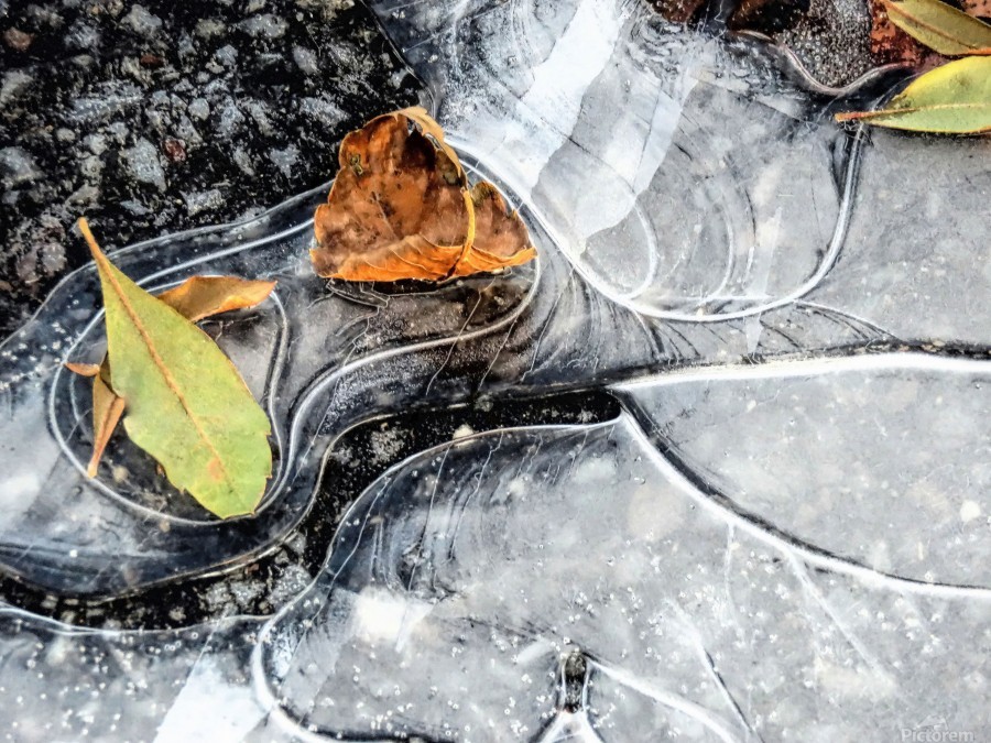 Ground patterns by Photography by Janice Drew Wall Art