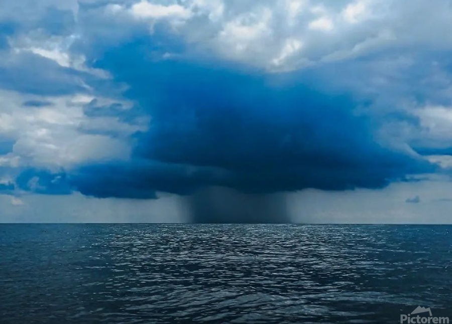 SHELL CLOUD by Miramarensis Wall Art