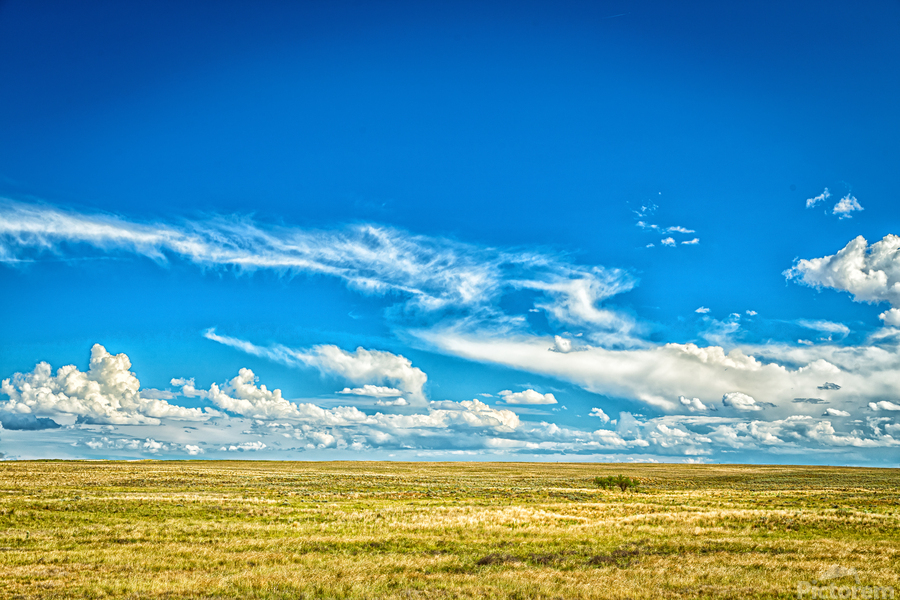 The Great Plains by Gestalt Imagery Wall Art