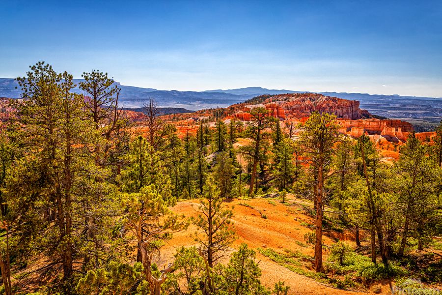 MG 1386 Edit Bryce Canyon National Park by Gestalt Imagery Wall Art
