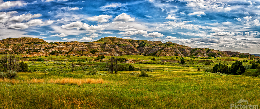 MG 4672 Pano Edit Theodore Roosevelt Nationa by Gestalt Imagery Wall Art