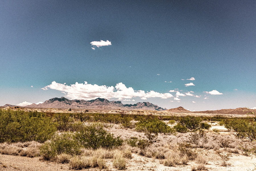 MG 7321 Edit Big Bend National Park by Gestalt Imagery Wall Art