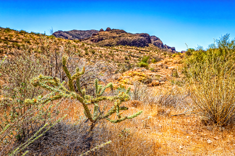 Apache Trail Scenic Drive View Arizona State Route 88 by Gestalt ...