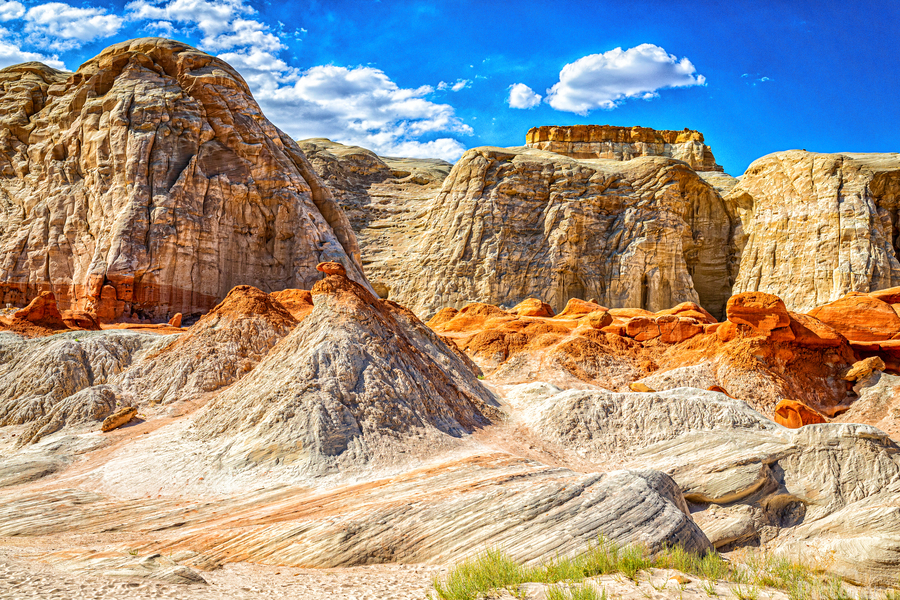 MG 9612 Edit The Toadstool Trail at Grand St by Gestalt Imagery Wall Art