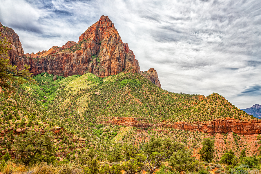 MG 9831 Edit Watchman Trail View Zion Nation by Gestalt Imagery Wall Art
