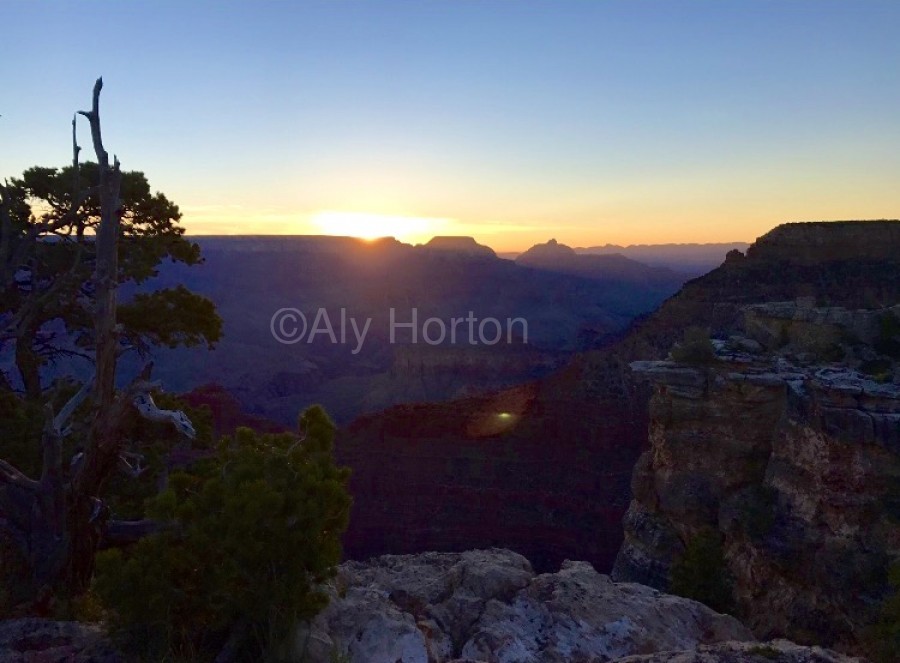 IMG_9301_Original par Aly Horton