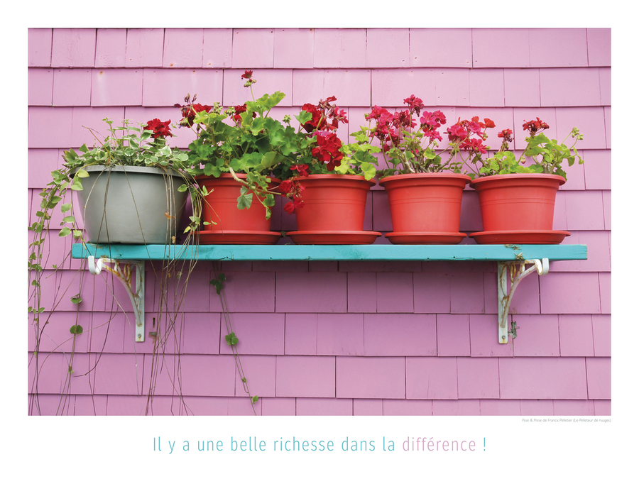 MES POTES ET MOI by Francis Pelletier Wall Art