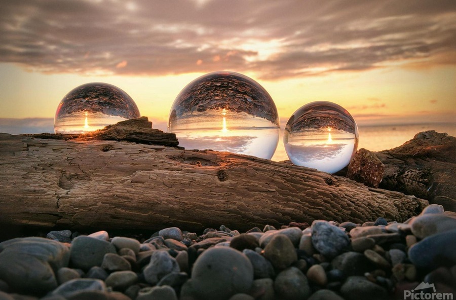 Three is better than two by Images by Cheryl Lynn Wall Art