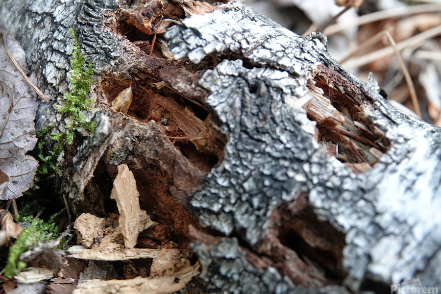 Decompose et recompose by Studio Art 461 Christine Wall Art