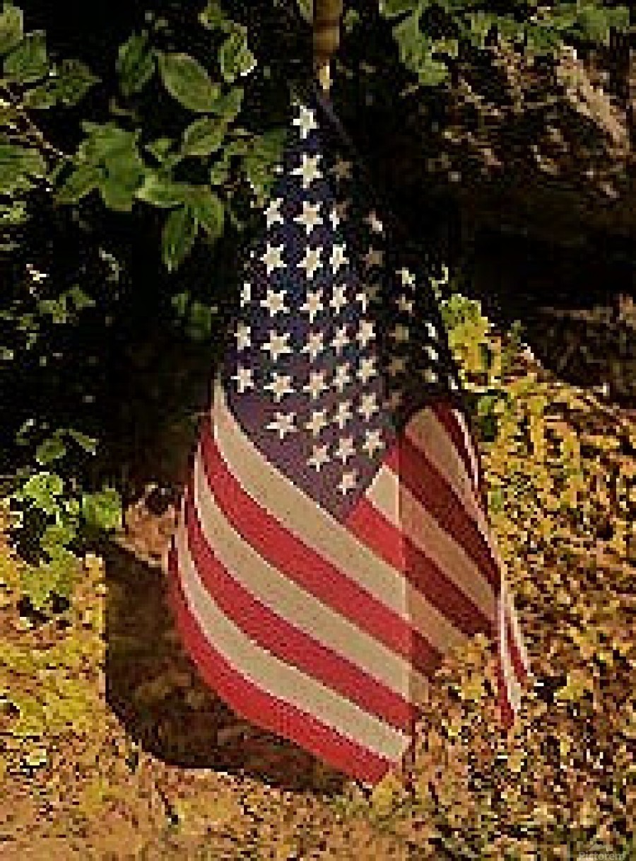 American Flag Still Stands. by Michelle Ramos Wall Art