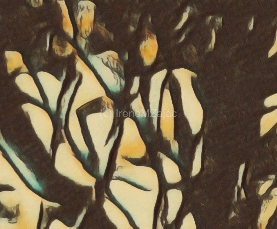 Watching and Hoping by Irene Zajac Wall Art