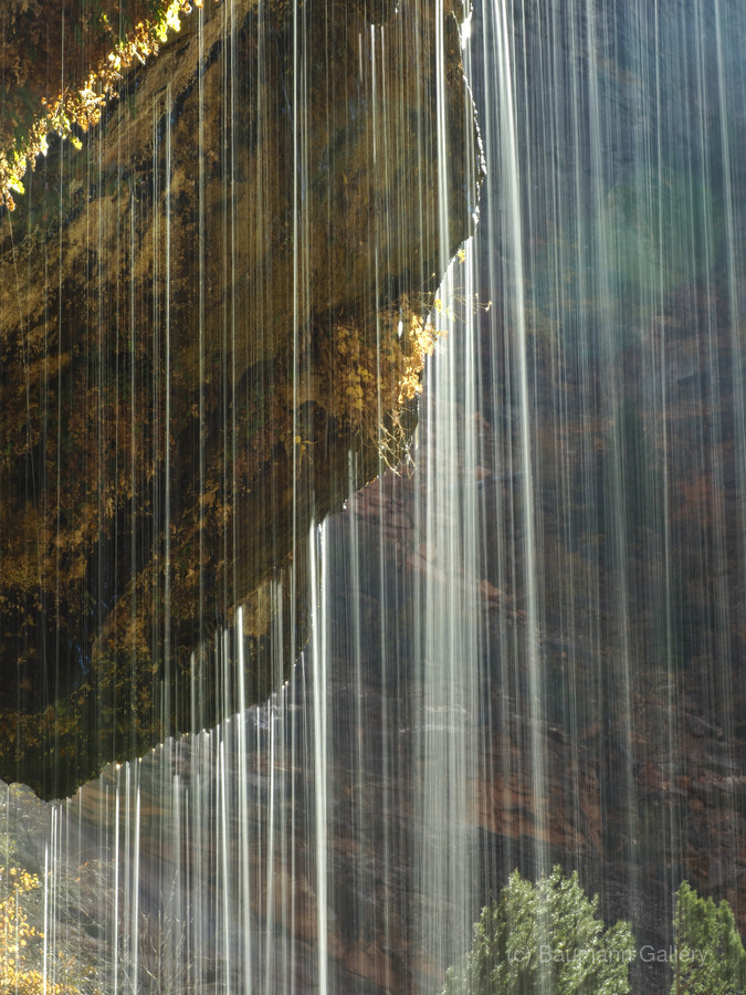 Weeping Rock by Baumann Gallery Wall Art