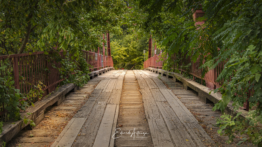 Old Alton Bridge by Eduardo Arteaga Wall Art