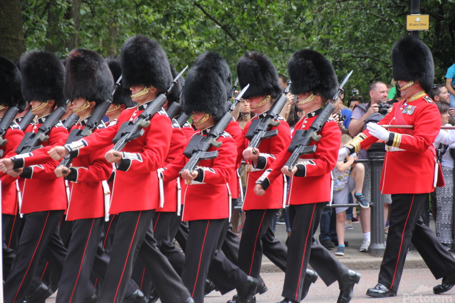 London - Queens Guard 1 by drdekov Wall Art