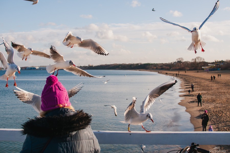 photos 3 by Shutter Jack Wall Art