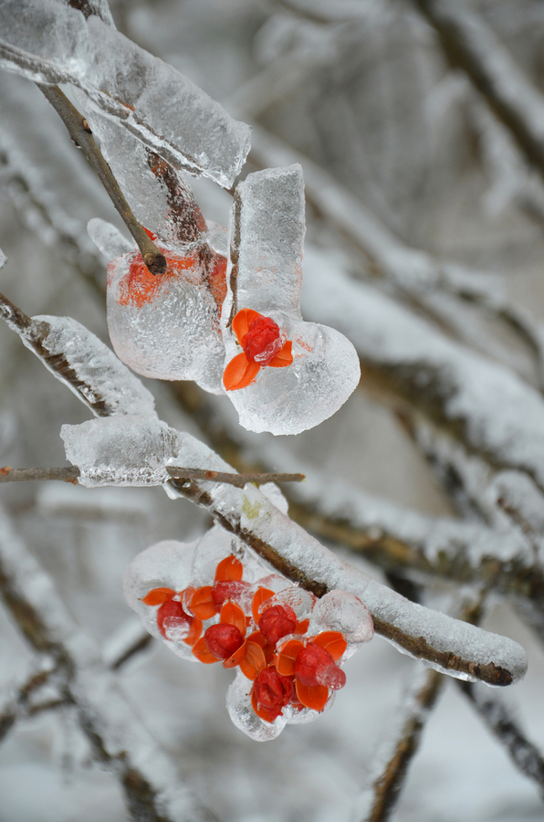 Splash of colour by naturetidbits Wall Art