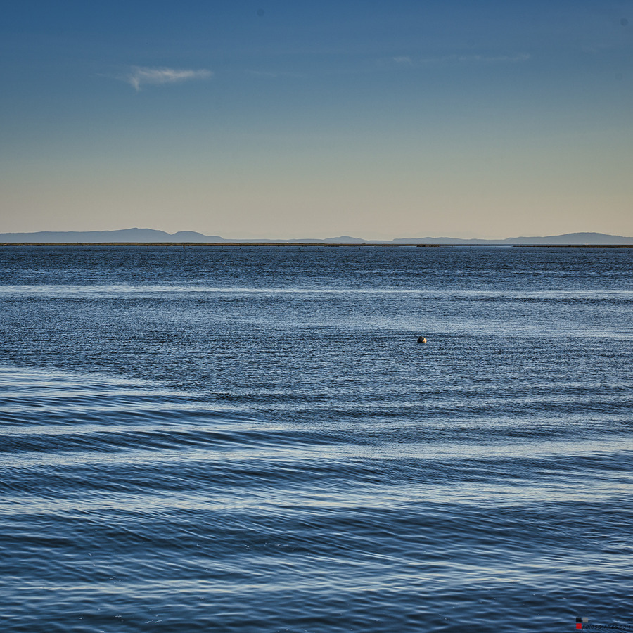 WAVES 2022 by FOTOSQUARES COM Wall Art