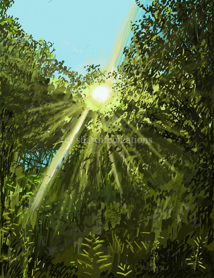 Sun Shine Over Trees by sdartlifecreations Wall Art