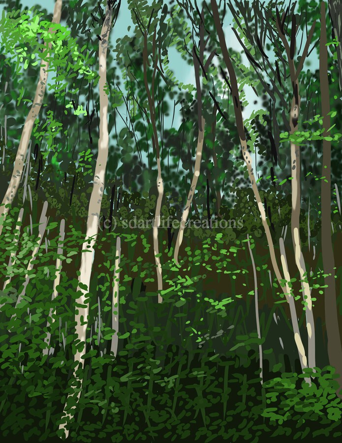 Patterson Forest Trees by sdartlifecreations Wall Art