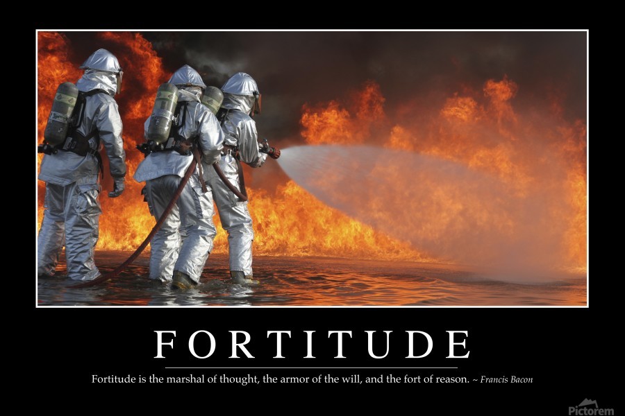 Fortitude: Inspirational Quote and Motivational Poster by ...