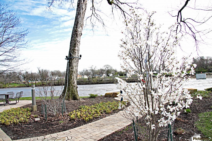 Spring in the Air by Don Baker Wall Art