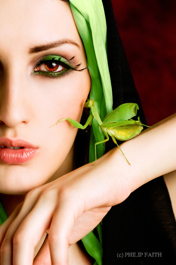 Mantis by PHILIP FAITH Wall Art
