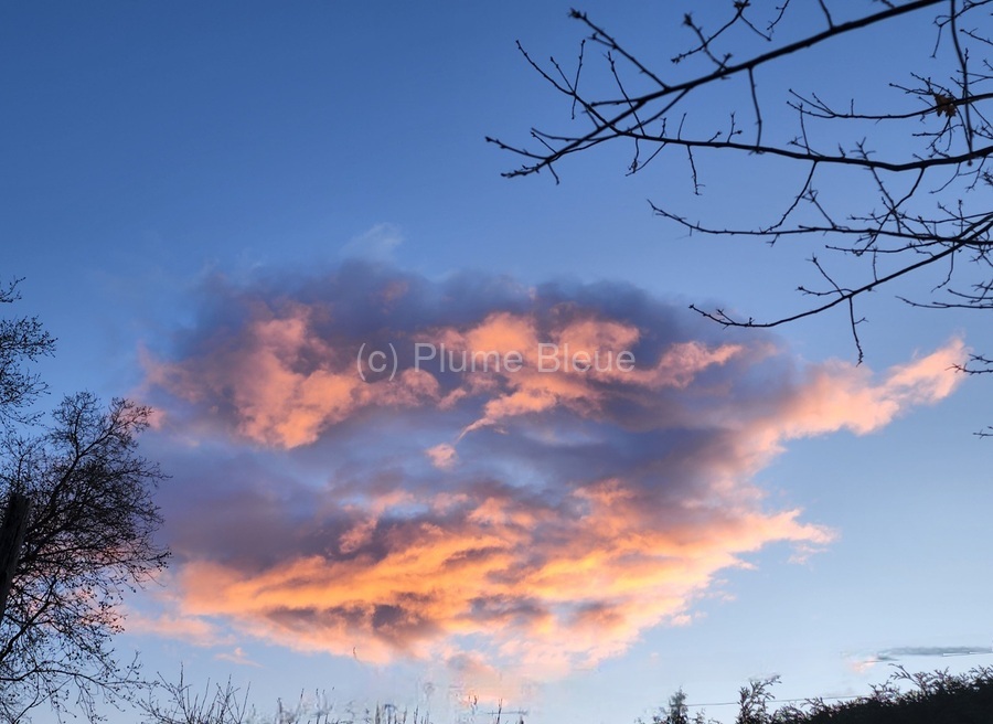 Sweet pinky sky by MLP Wall Art