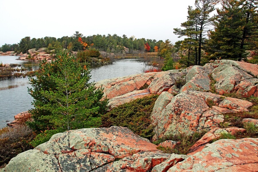 Collins Inlet II by Deb Oppermann Wall Art