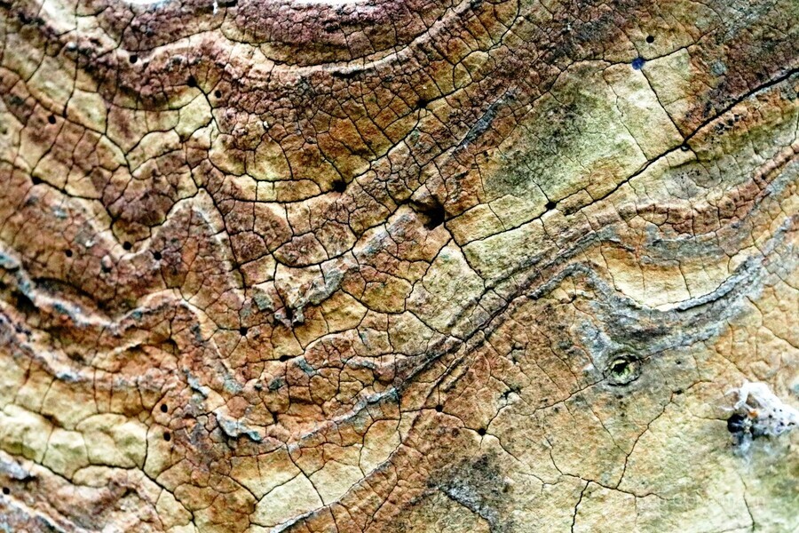 Signs Of Old Age by Deb Oppermann Wall Art