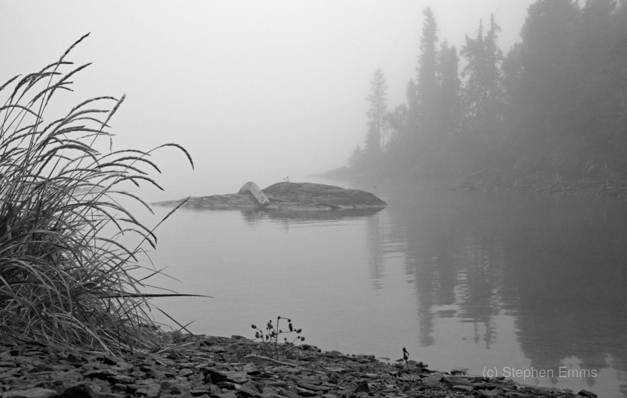 Stephen Emms Art Collection