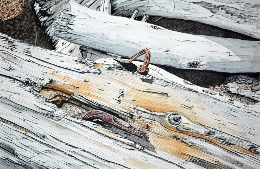 Stephen Emms Art Collection