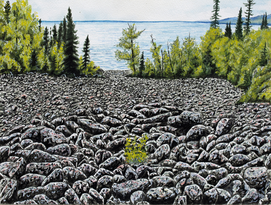 Stephen Emms Art Collection