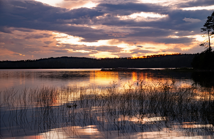 Stephen Emms Art Collection