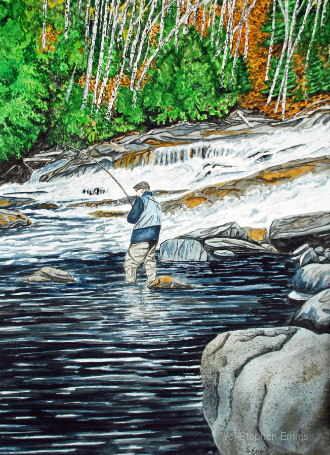 Stephen Emms Art Collection