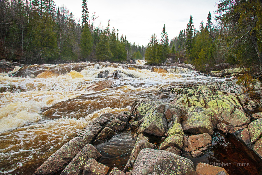 Stephen Emms Art Collection