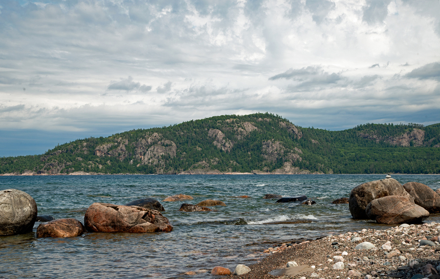 Stephen Emms Art Collection