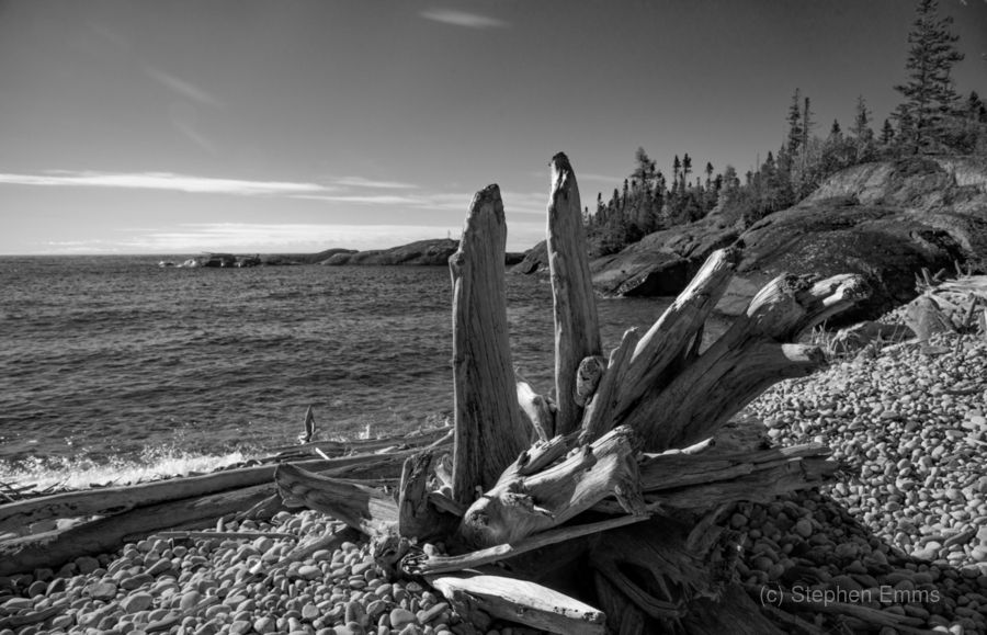 Stephen Emms Art Collection