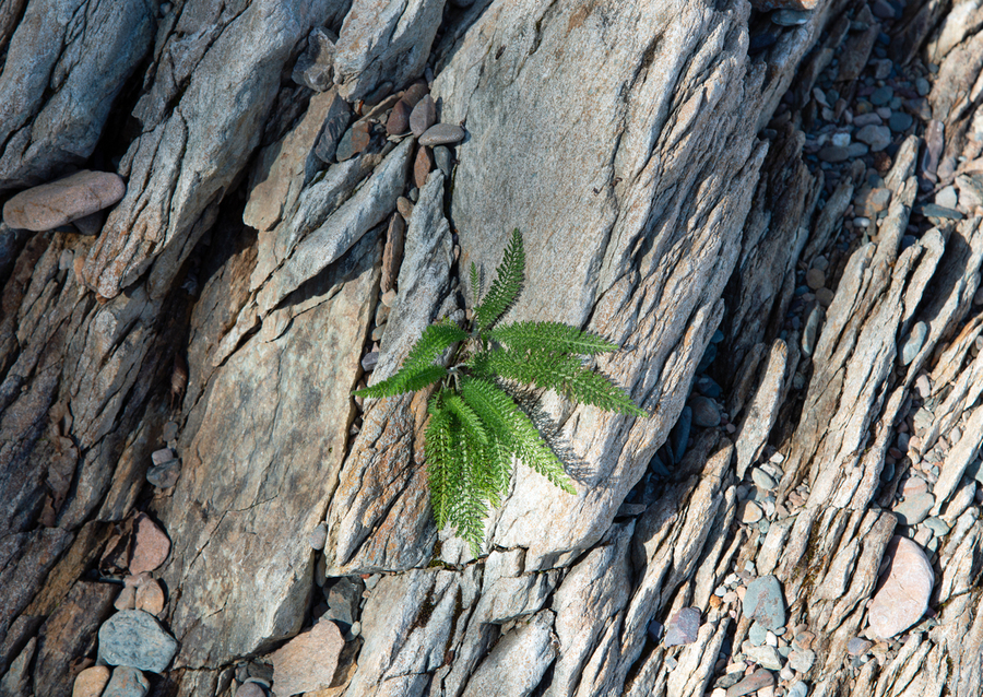 Stephen Emms Art Collection