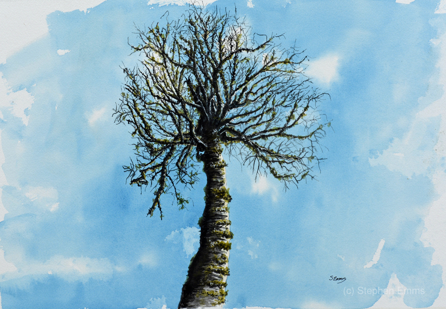 Stephen Emms Art Collection