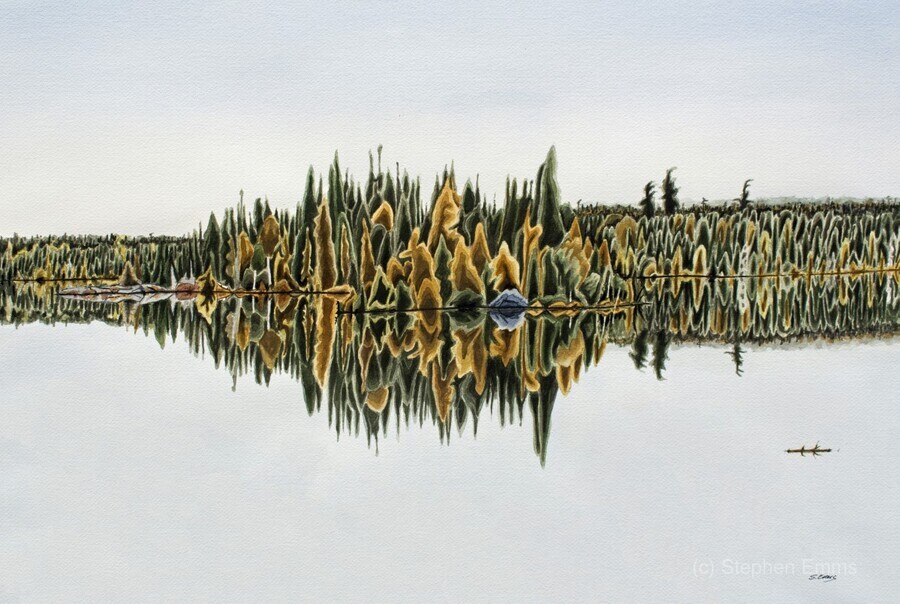 Stephen Emms Art Collection