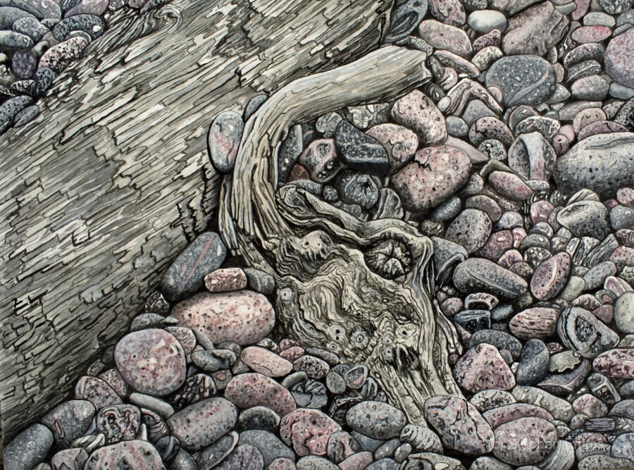 Stephen Emms Art Collection